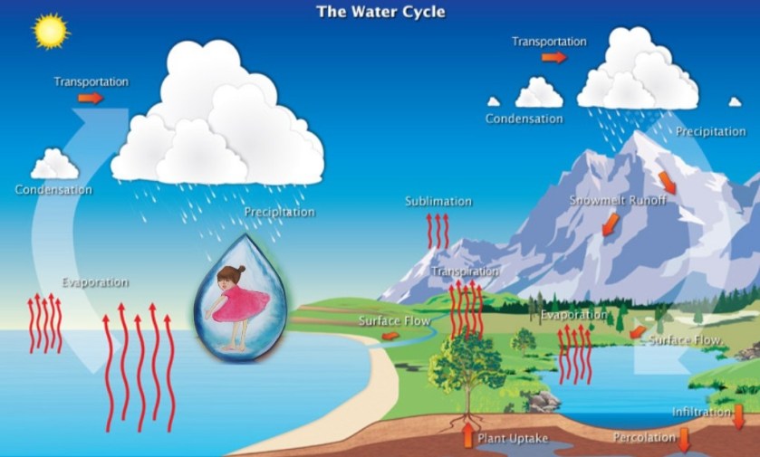 Water Cycle – Short stories for kids